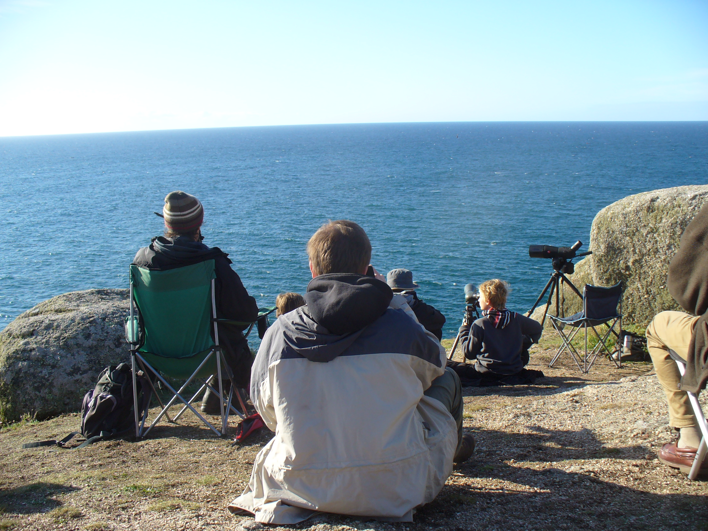 Sea-Watching - Conservation Articles & Blogs - CJ