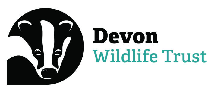 Conservation Volunteering - CJ